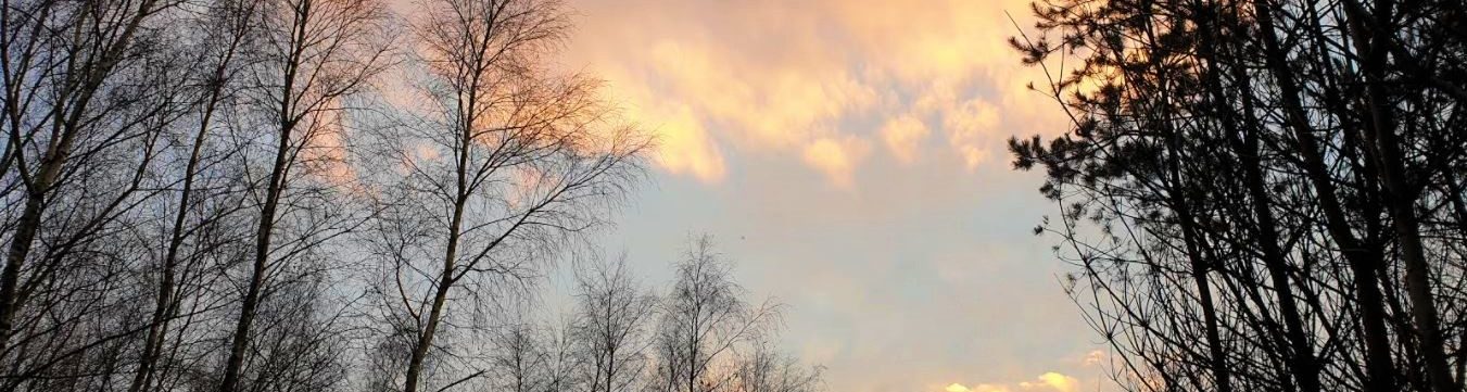 Avondzon - Natuurbegraafplaats Mepperdennen